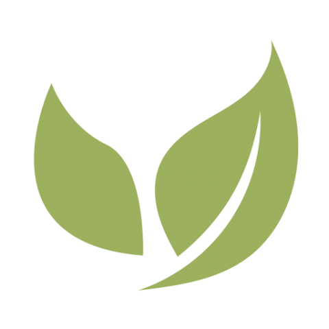 Clean Cut Lawns Mackay | Lawn and Gardening Services Mackay